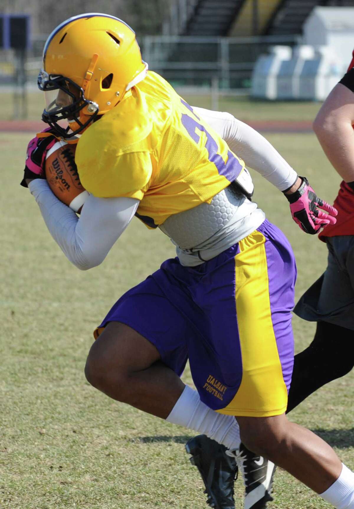 Great Danes tackle a heavier load