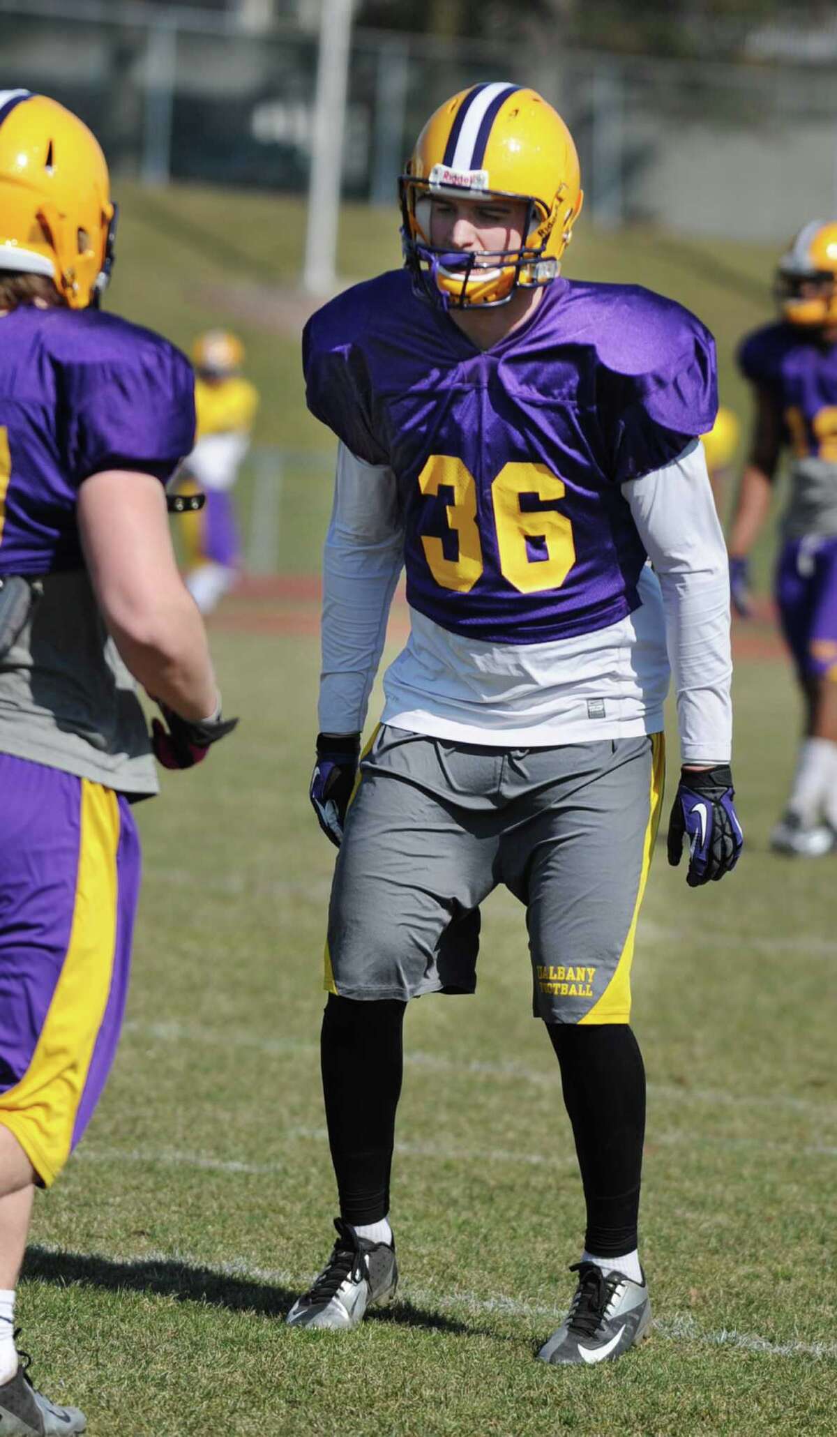 Great Danes tackle a heavier load