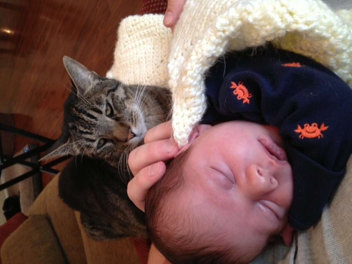 Ramon will return after May sweeps