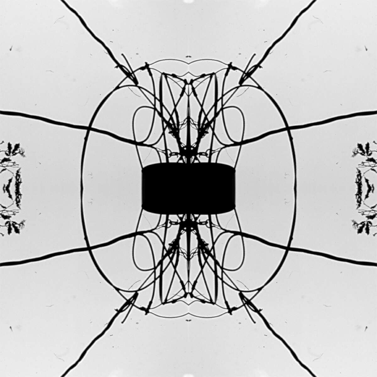 Randy Twaddle finds beauty where most would just see power lines