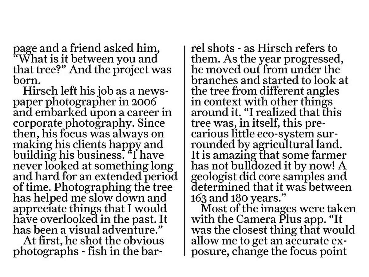 Mark Hirsch on That Tree