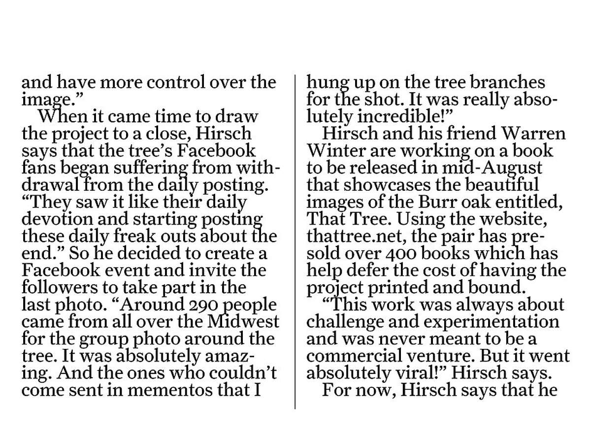 Mark Hirsch on That Tree