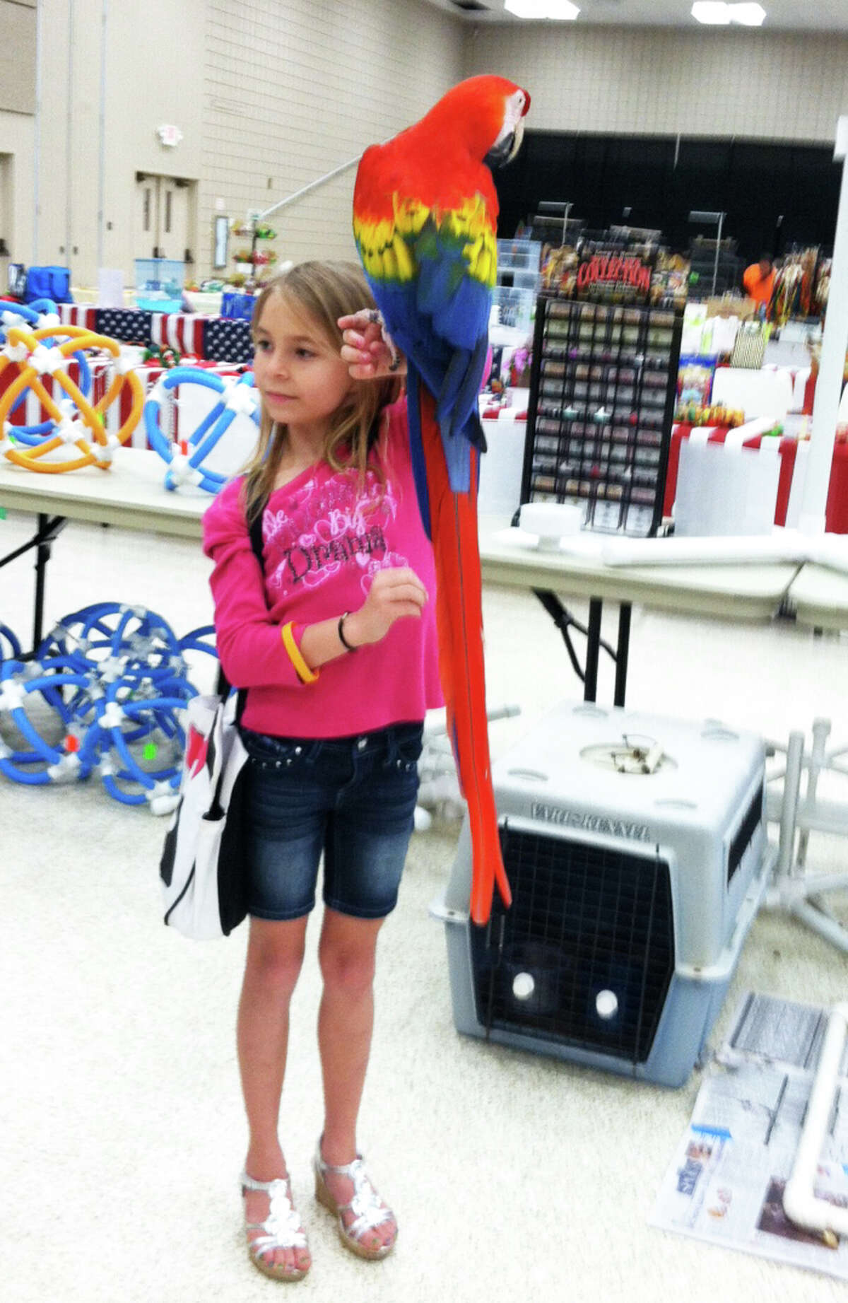 Tiny dinosaur descendants take over Bob Bowers Center