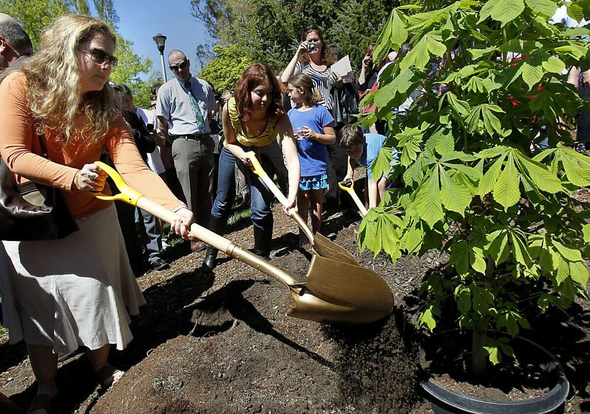 Anne Frank tree planted at Sonoma State