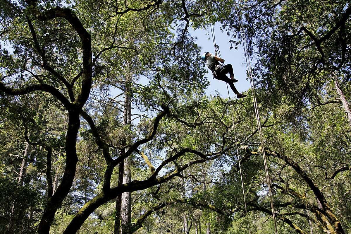 Eco-adventure awaits in Mount Hermon treetops