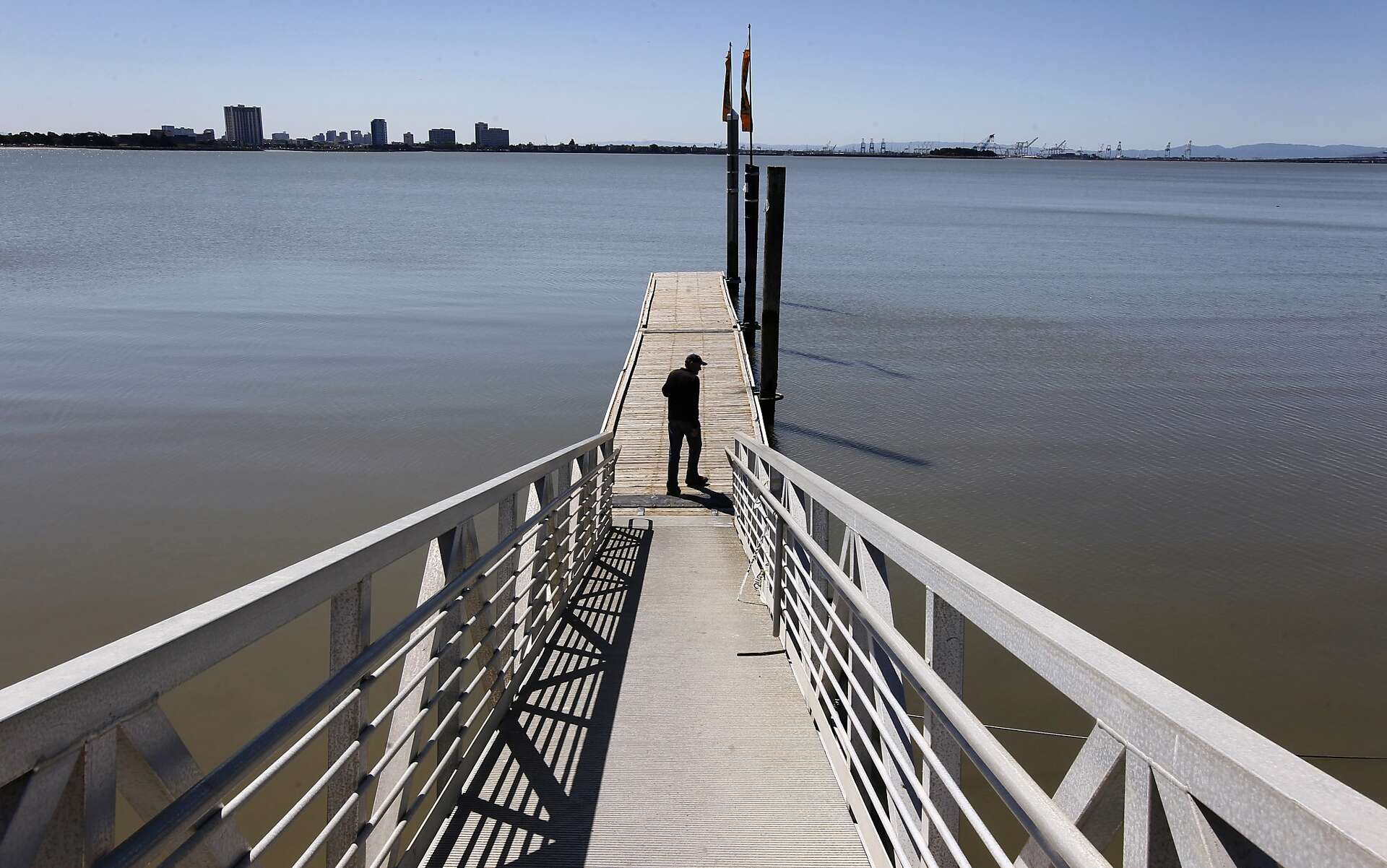 The last 100 years of shark attacks in the Bay Area mapped