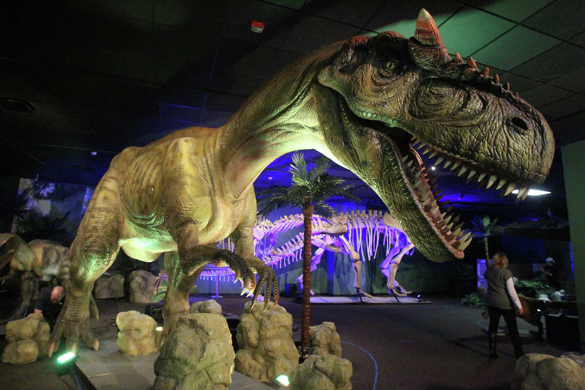 Summer fun is not all done