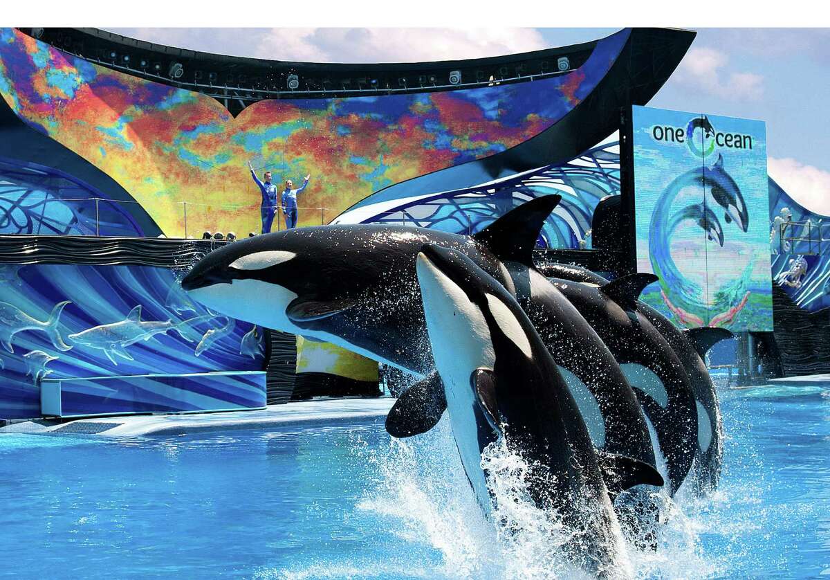 Photographs from early years of SeaWorld San Antonio
