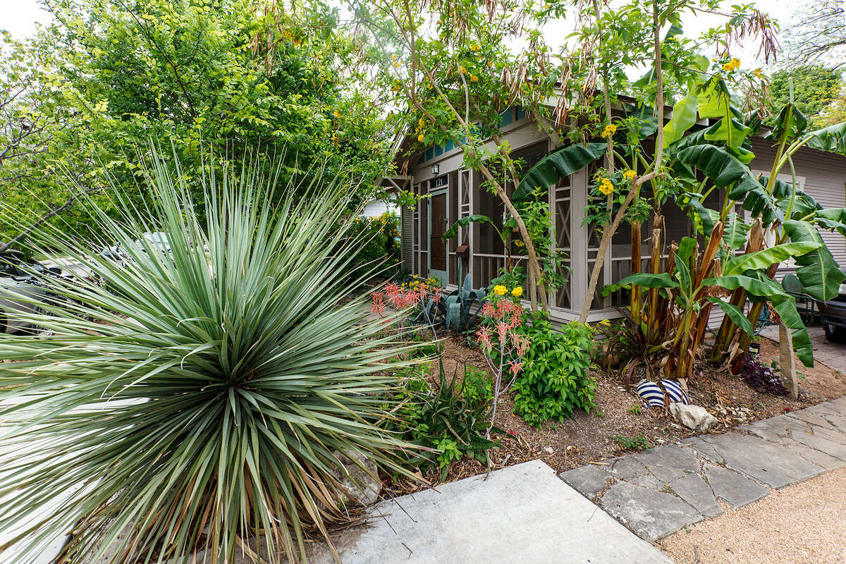 Keeping it green during drought