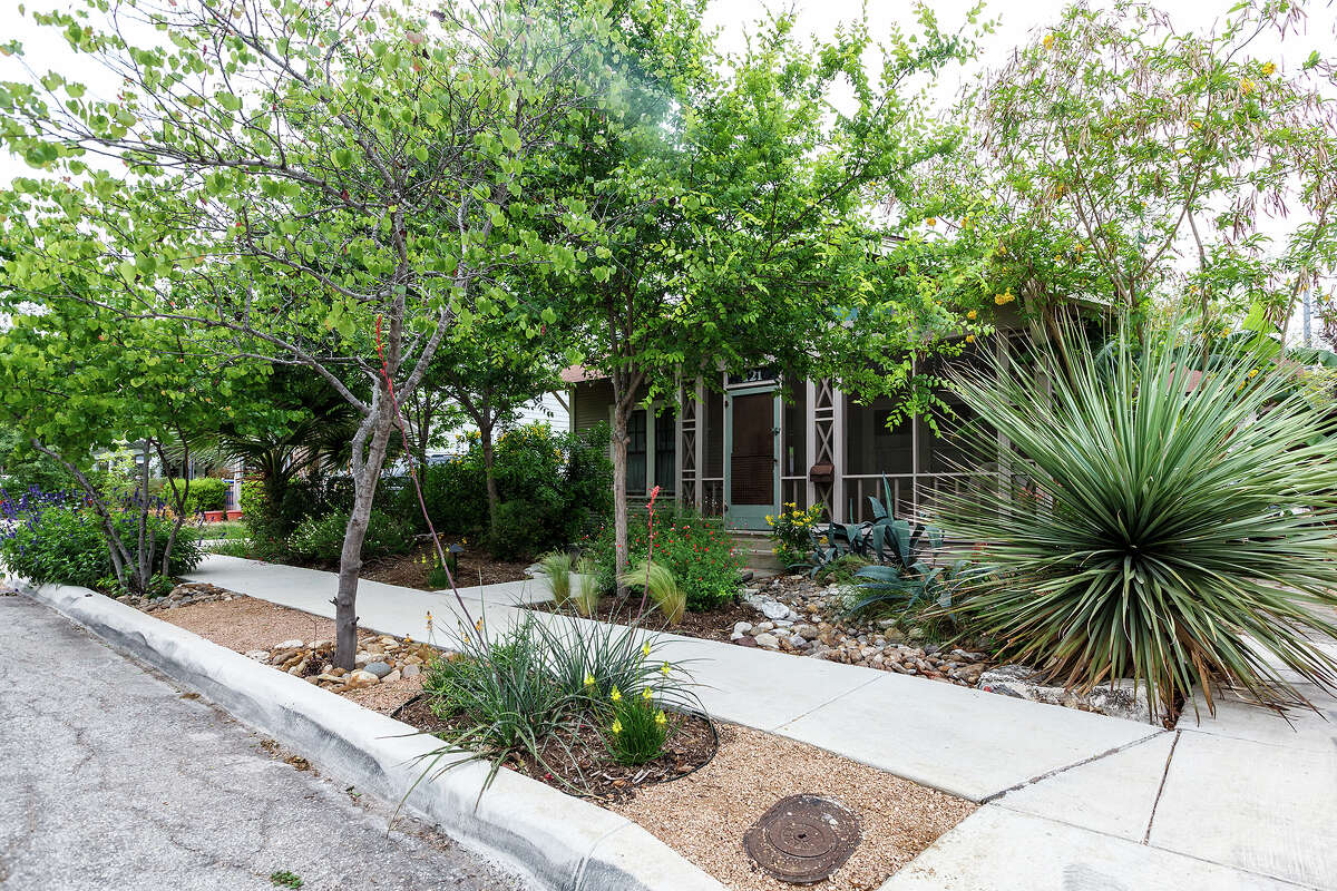 Keeping it green during drought