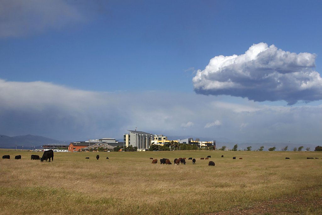 UC Merced goes from shunned to popular