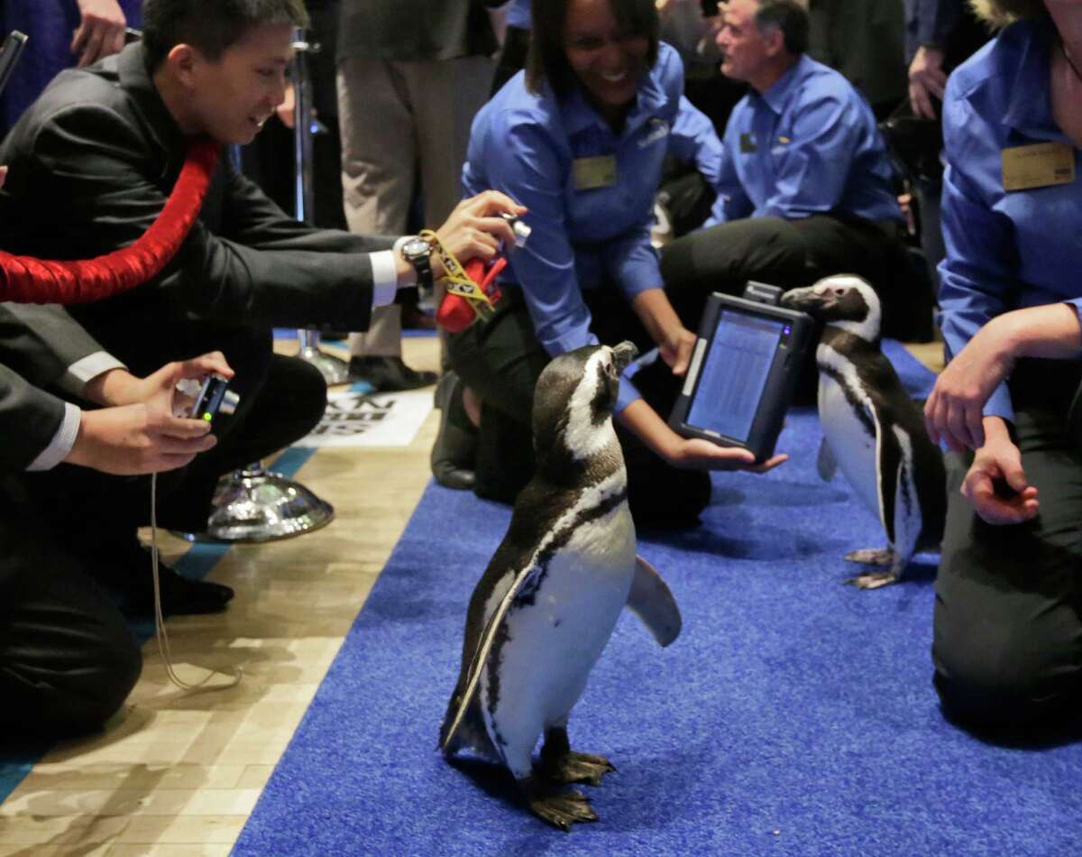 SeaWorld makes a splash on the NYSE