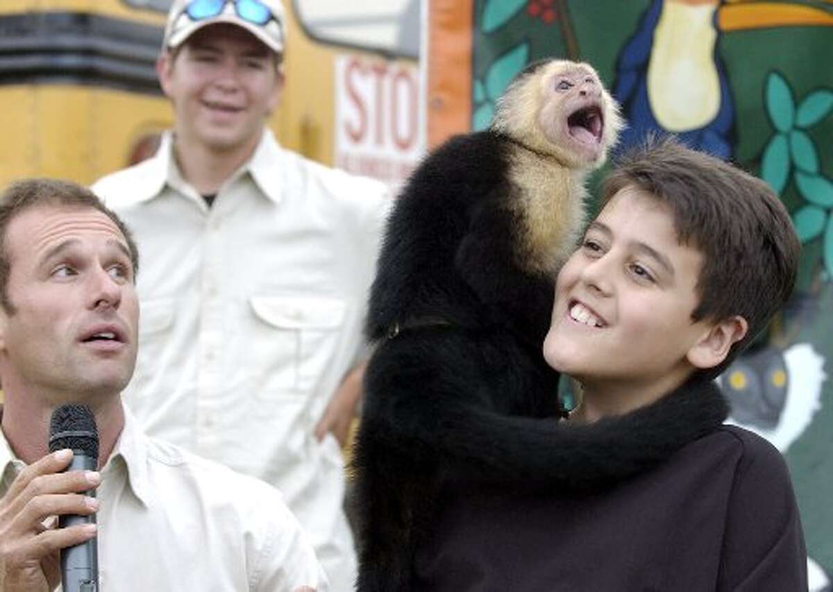 The animal kingdom of Brian Staples