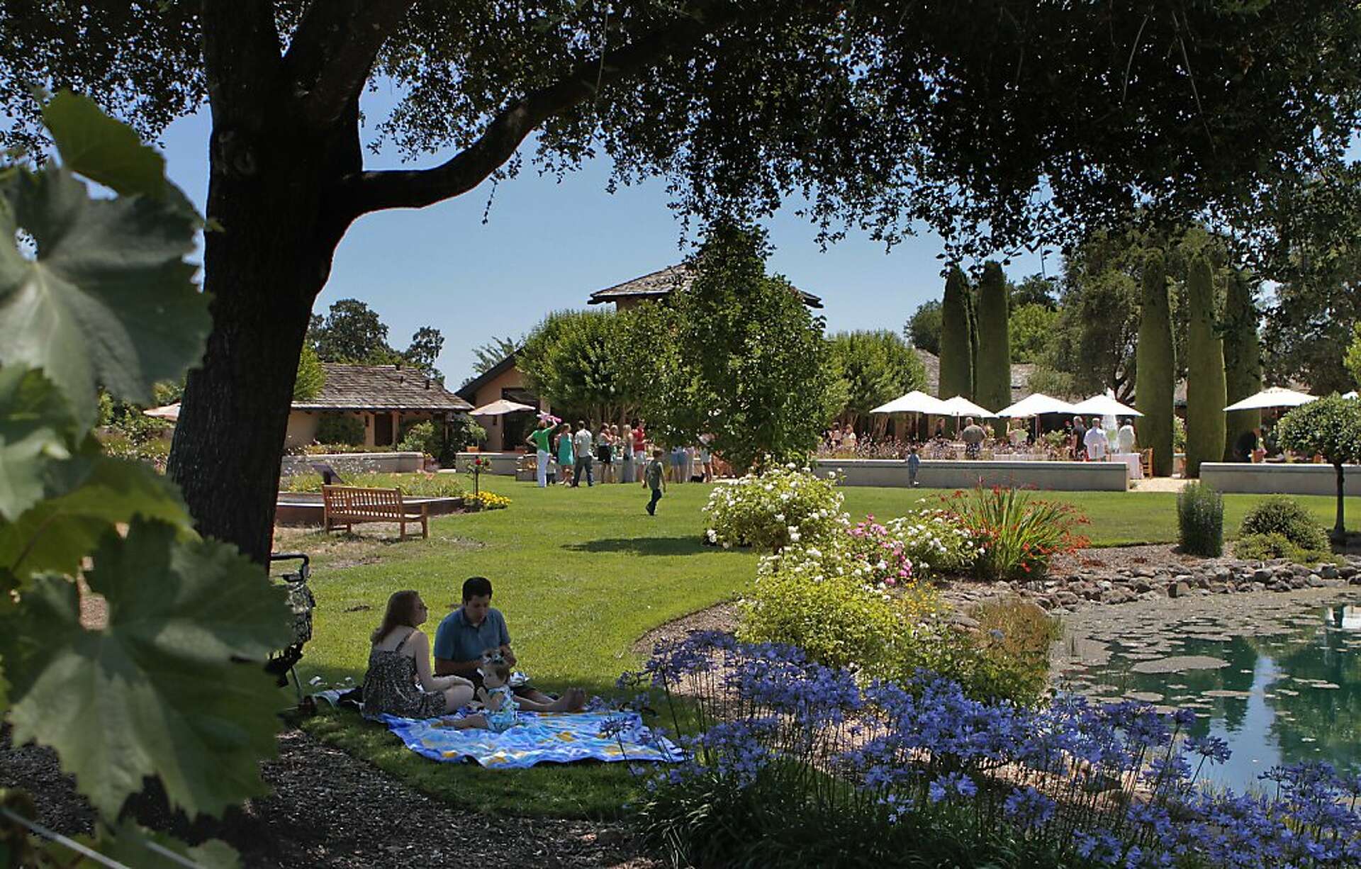 Sonoma wine tasting rooms on Highway 12