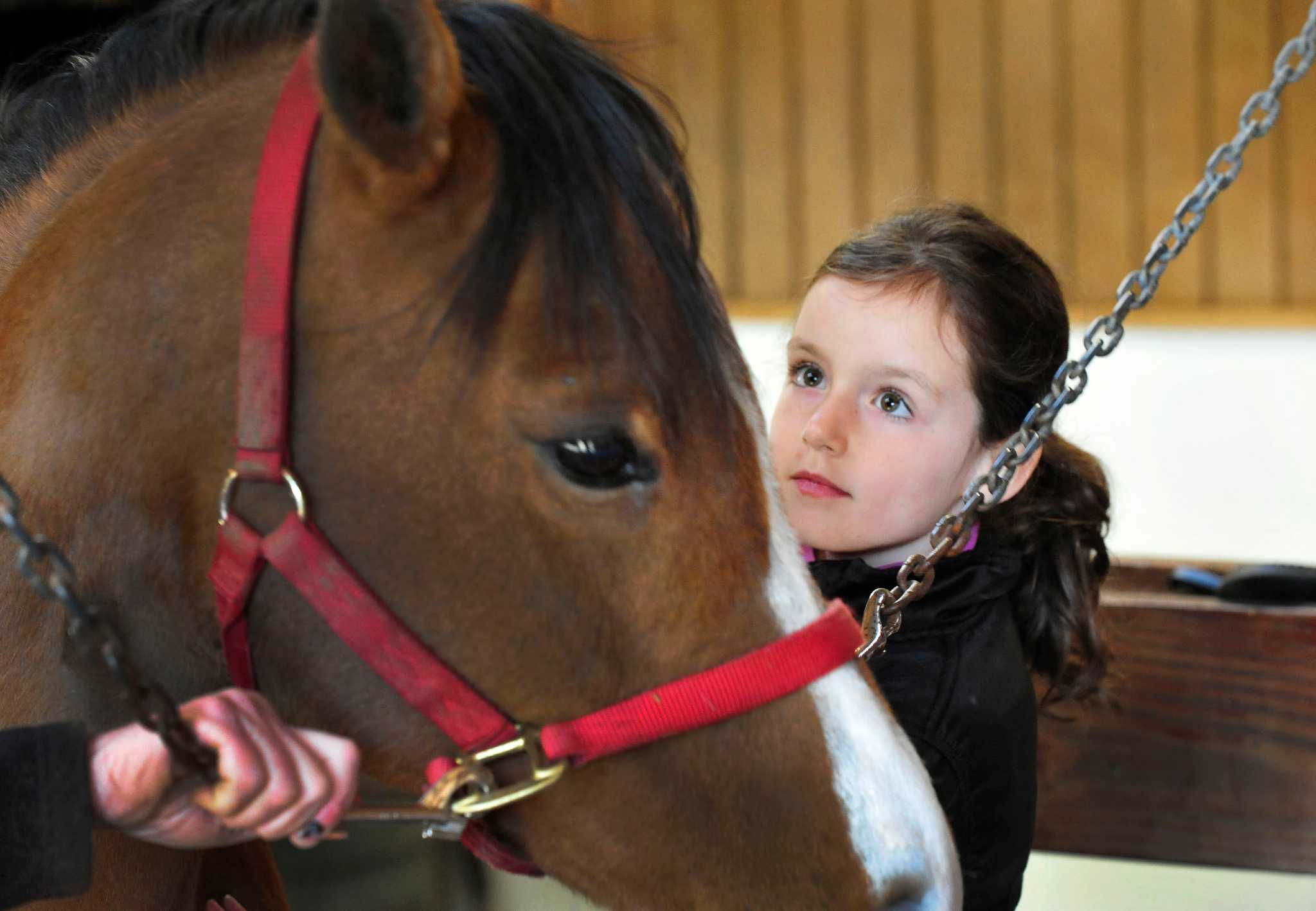Horse Tales Literacy Project brings reading to life