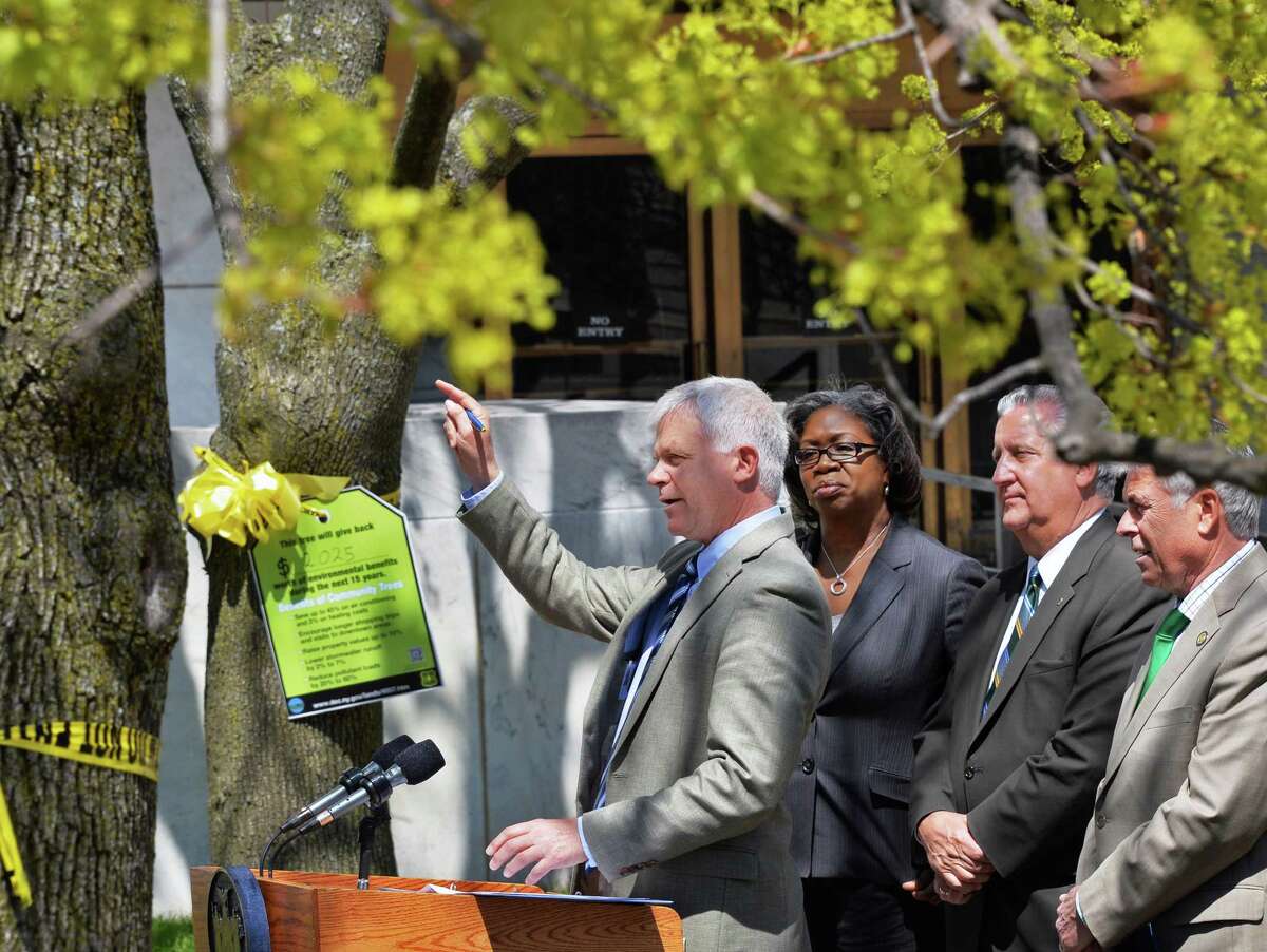 Arbor Day in Albany