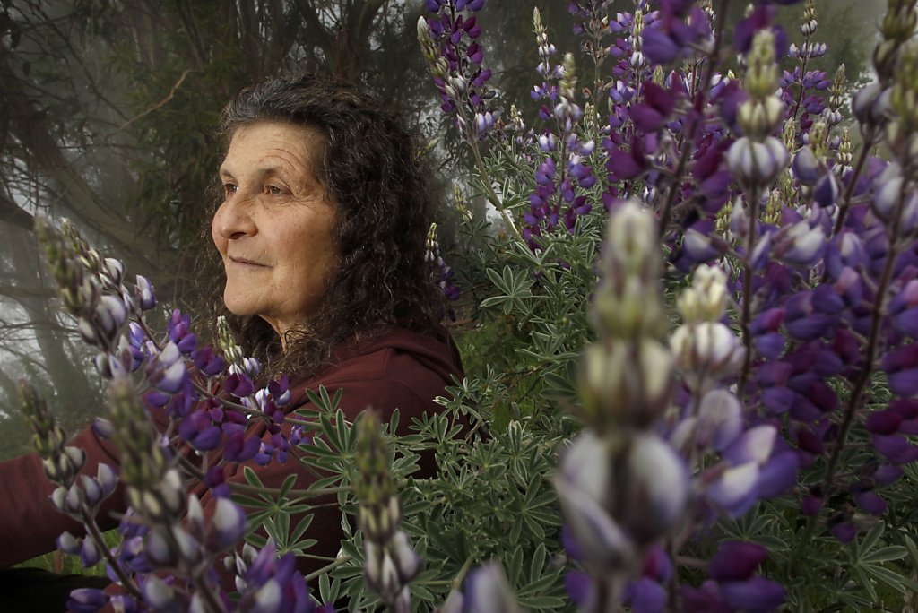 Gov. Brown’s names Bay Area rock climber, late SF mayor to CA Hall of Fame