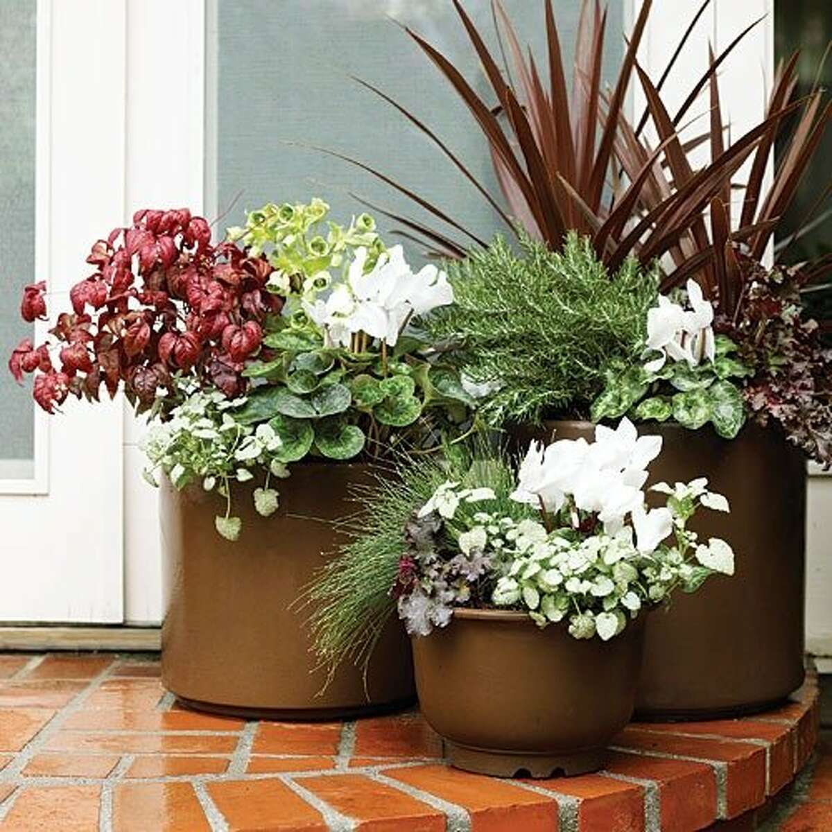 Unique container gardens for any yard