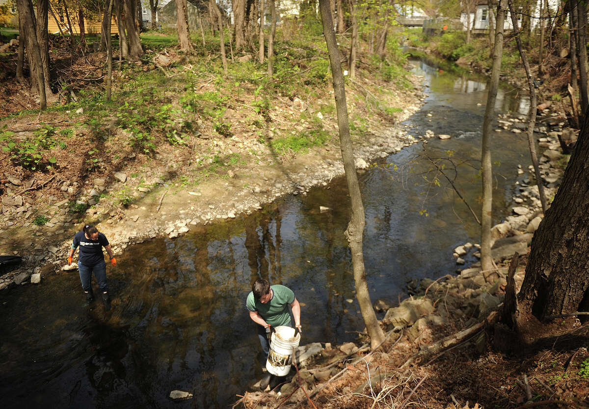 River cleanup is just ducky
