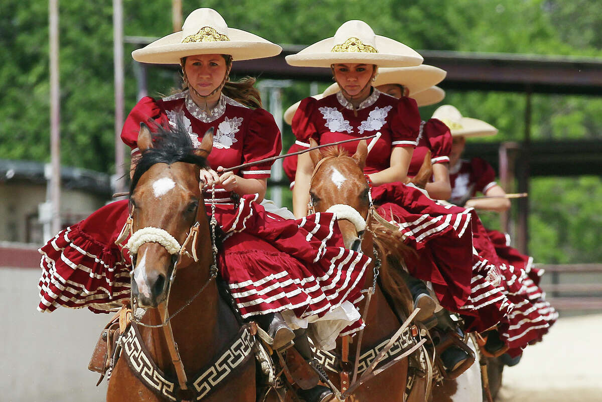 Fiesta 2014 could expand to 18 days