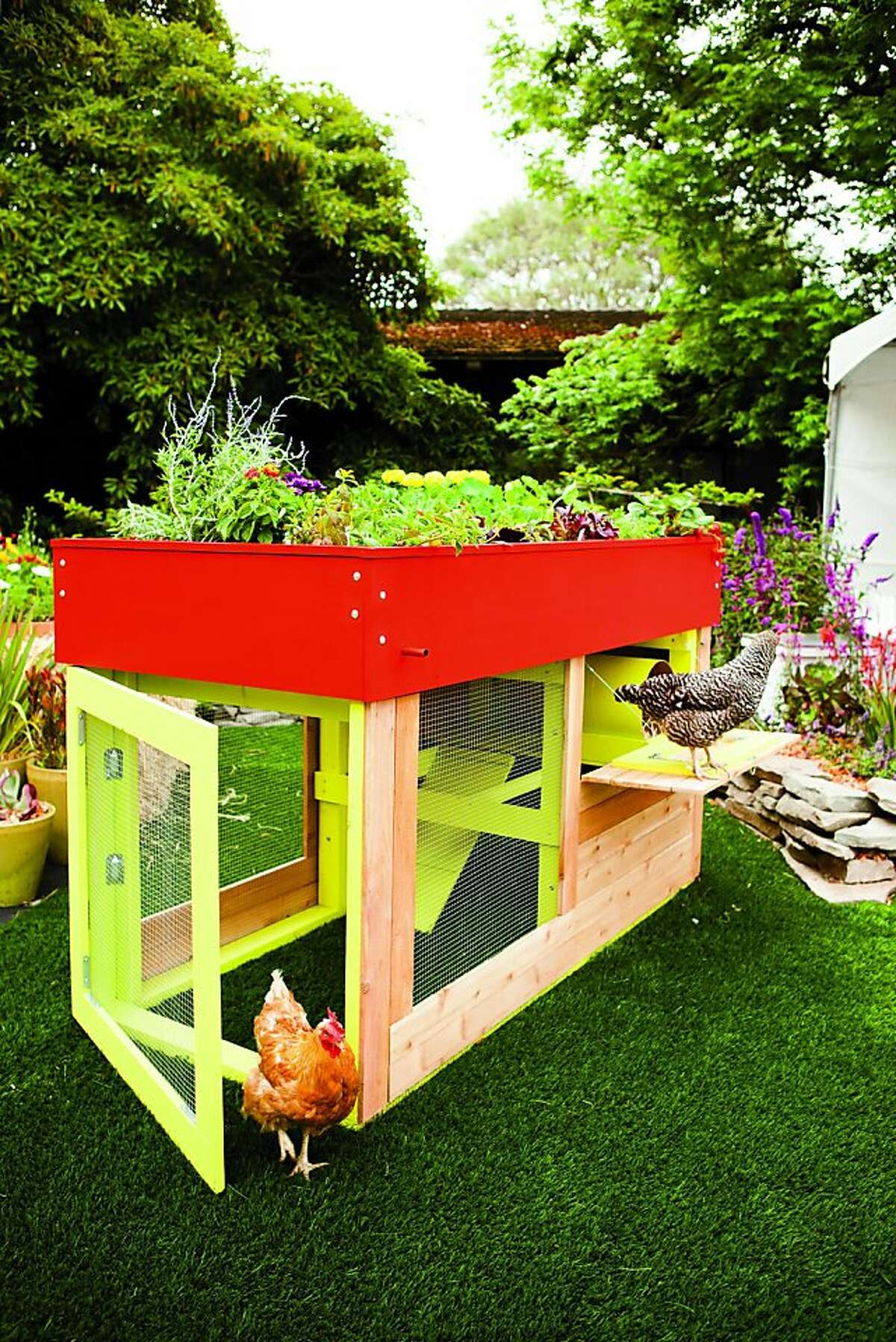 Creative coops for the best in nesting