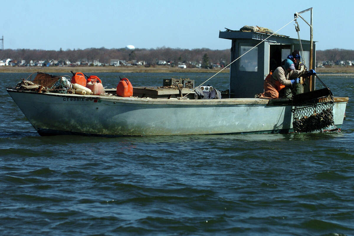 Shellfish industry keeping bacteria in check