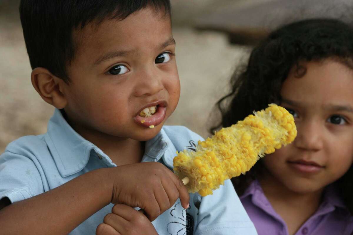 Whole lotta corn in Helotes