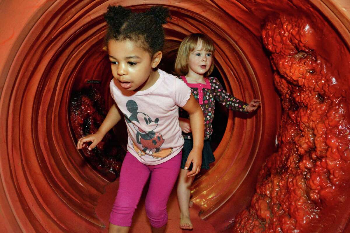 Colossal colon draws vistors