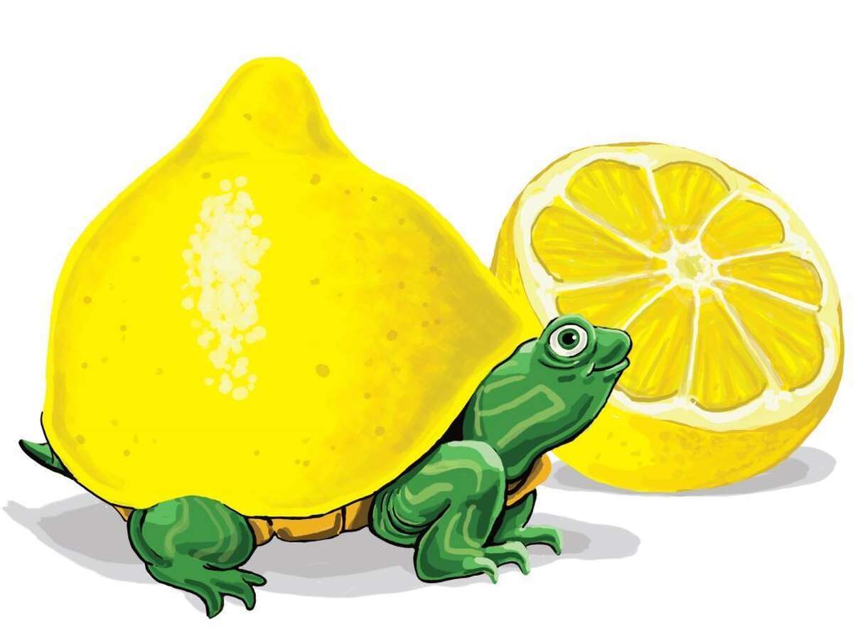 Lemonade Day founder writes children's book