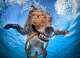 Seth Casteel's underwater animal photography