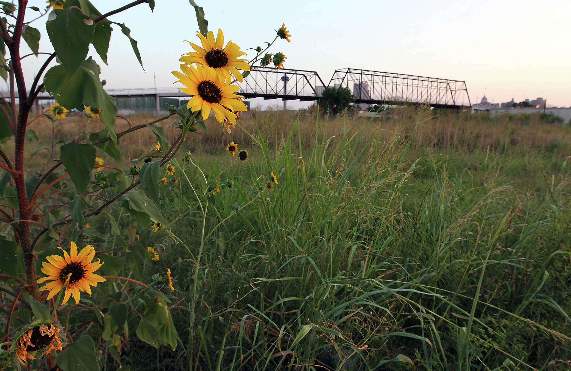 12 things you didn't know about Hays Street Bridge
