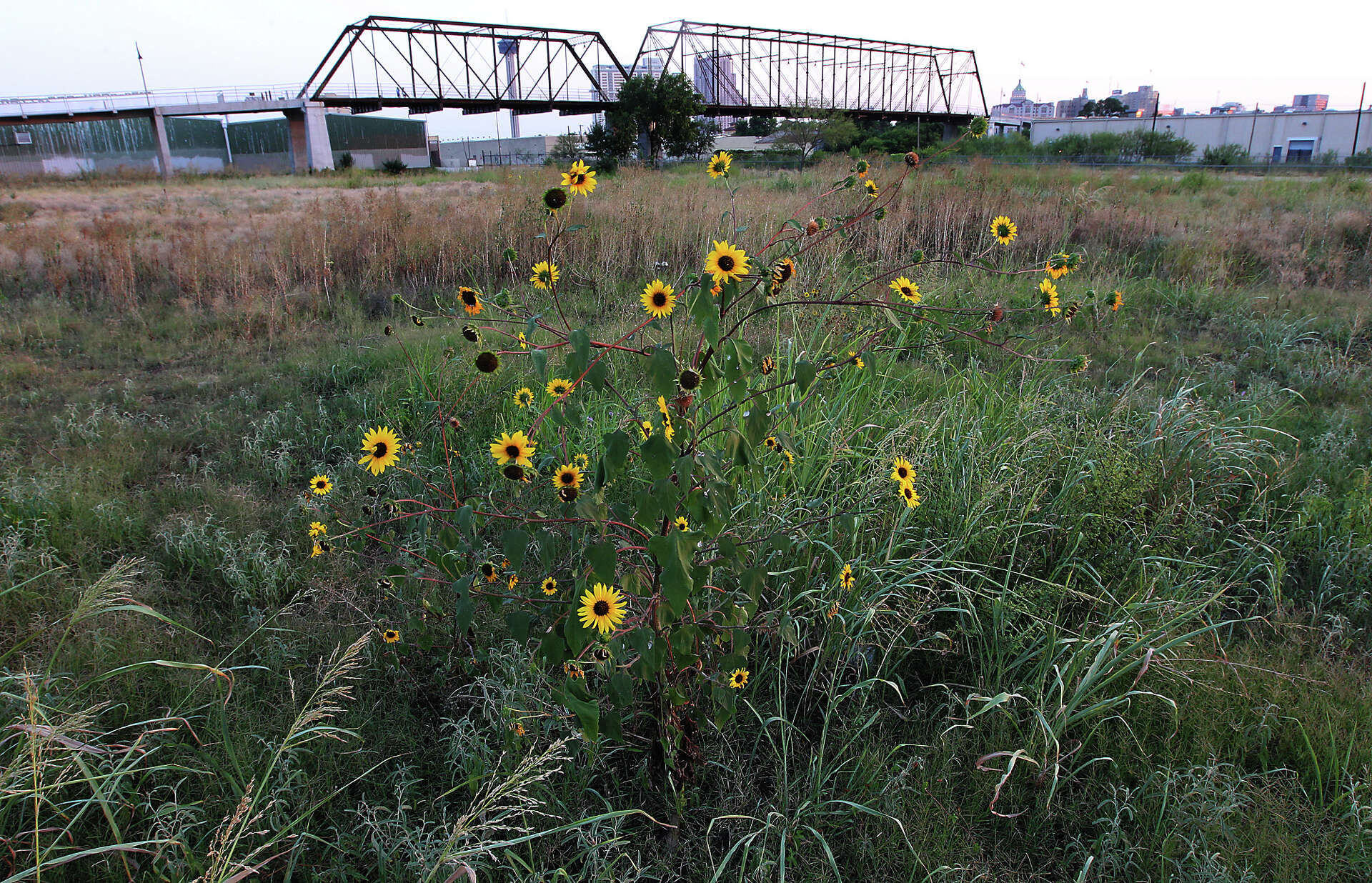 12 things you didn't know about Hays Street Bridge