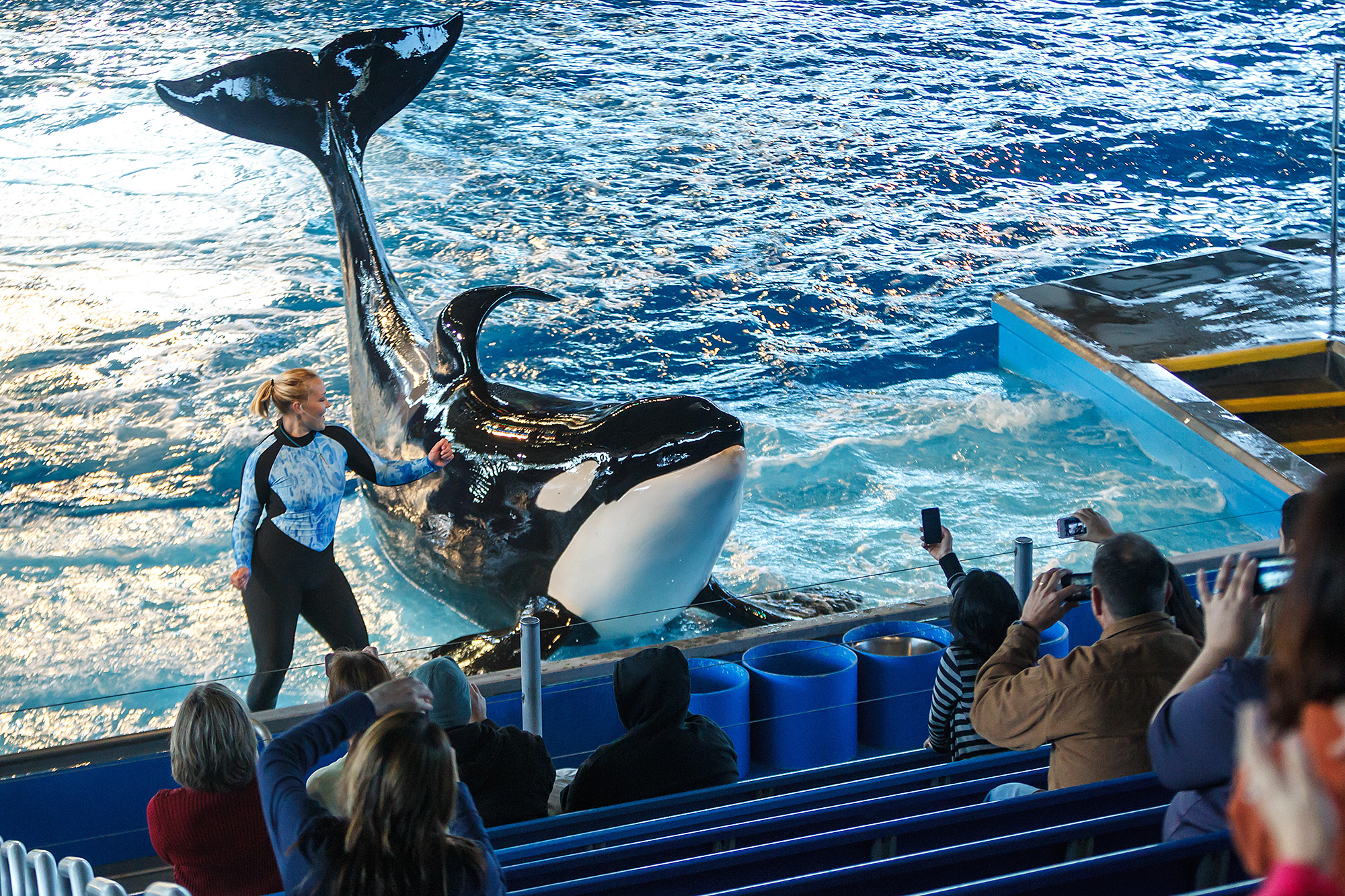 Sesame Street, SeaWorld plan more joint parks