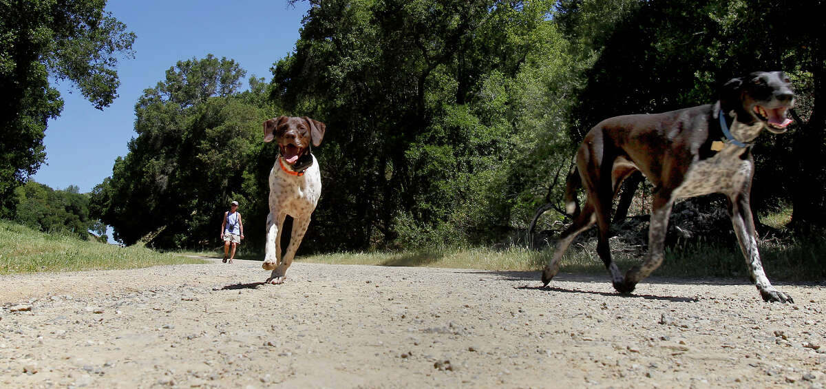 Hike Mount Burdell Open Space Preserve