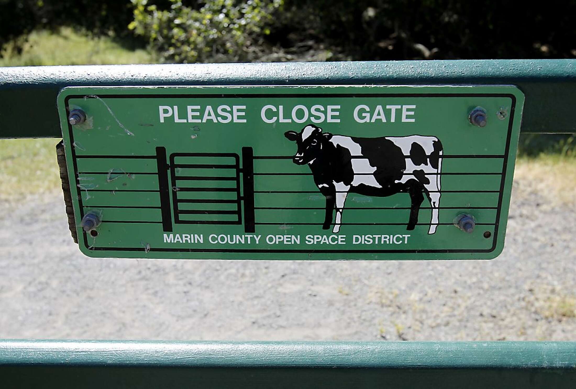 Hike Mount Burdell Open Space Preserve