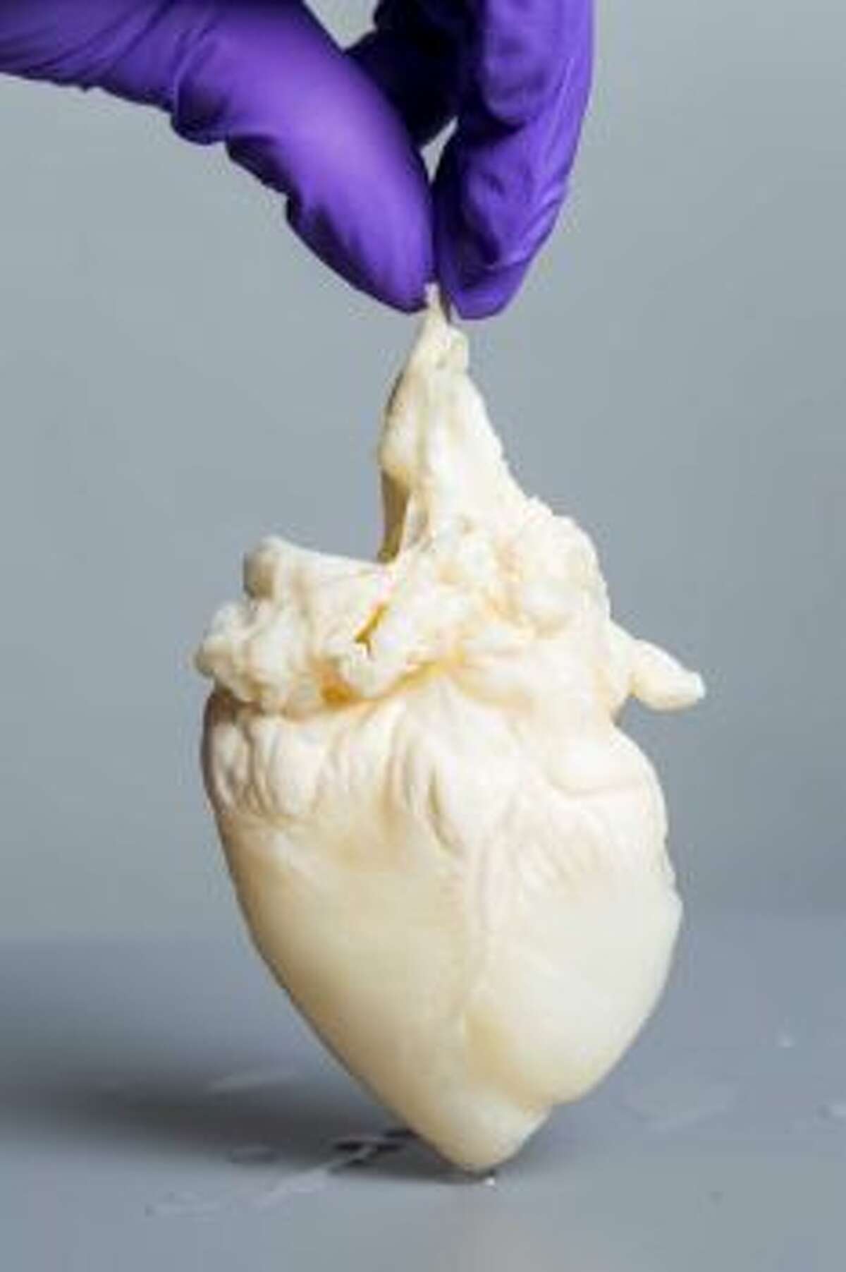 Mapping life took a turn through Houston