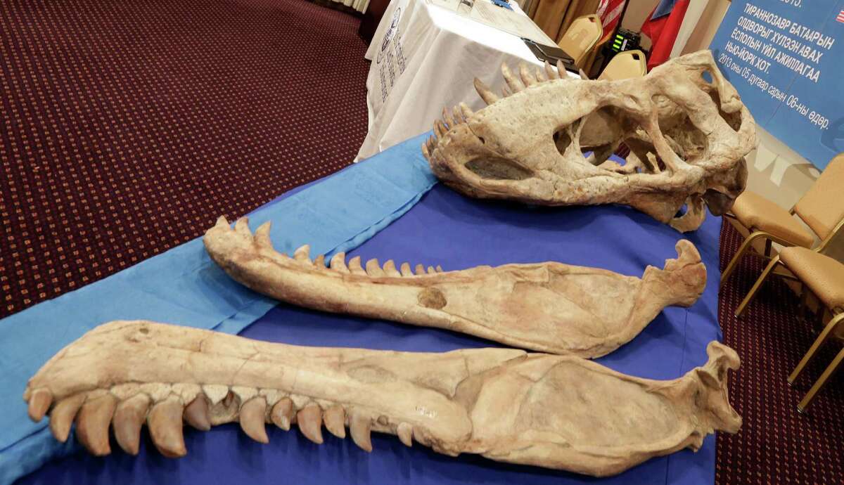 Smuggled dinosaur skeleton returned