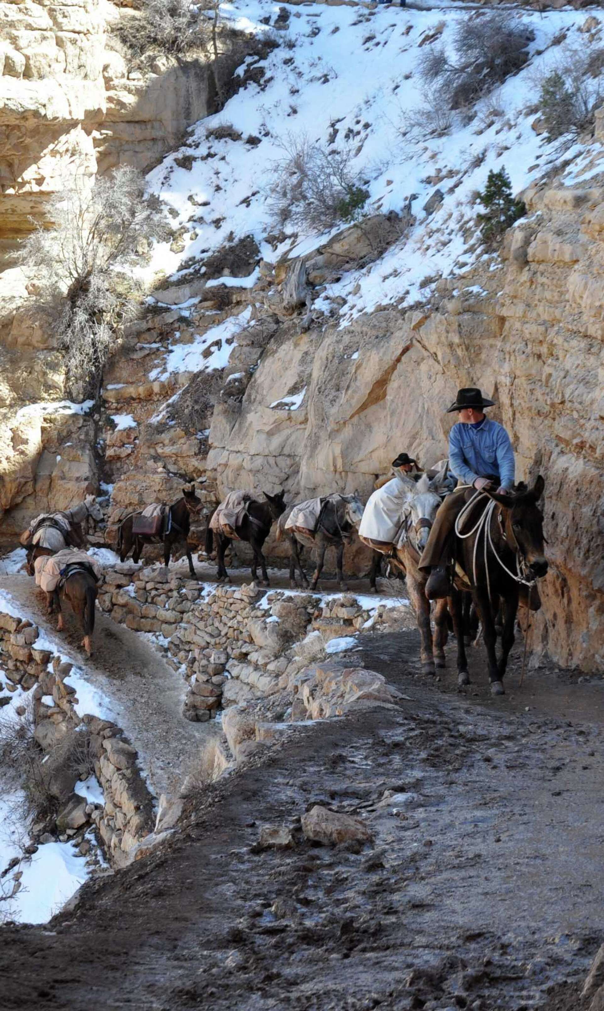 6 things to know about hiking the Grand Canyon