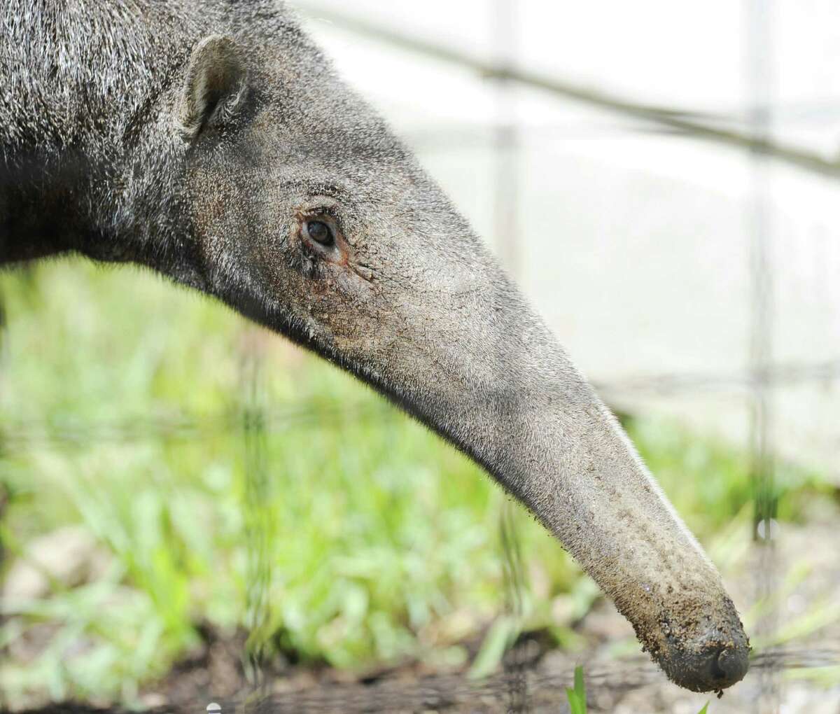 A special delivery in northern Greenwich