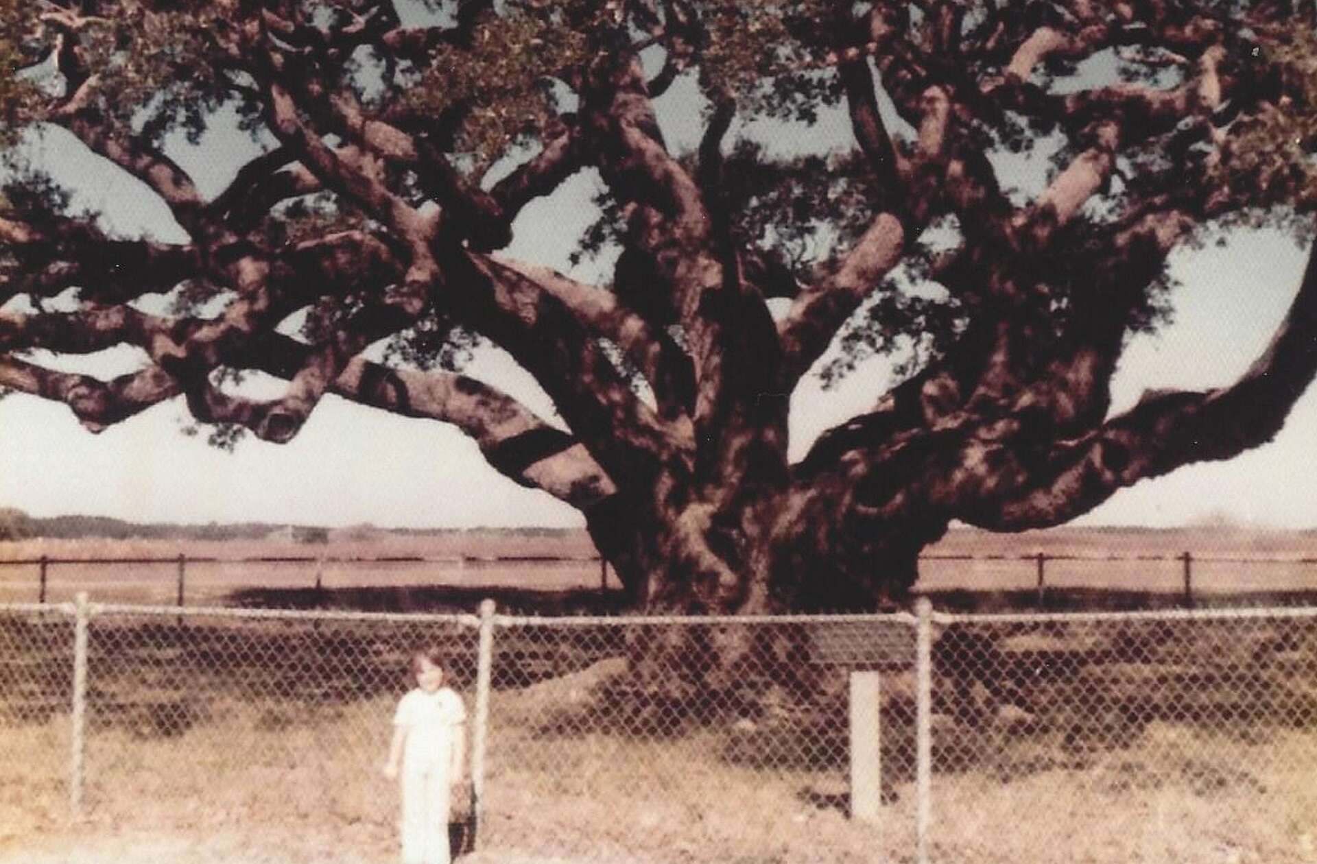 Then and Now: Jill Copeland