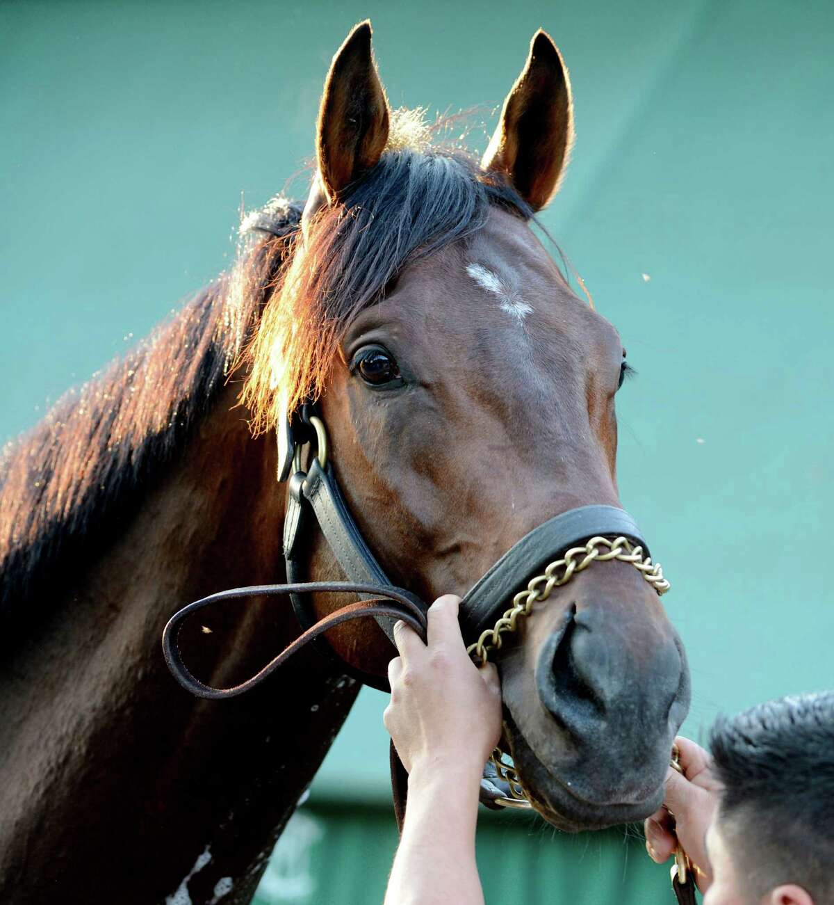 All the attention's on Orb