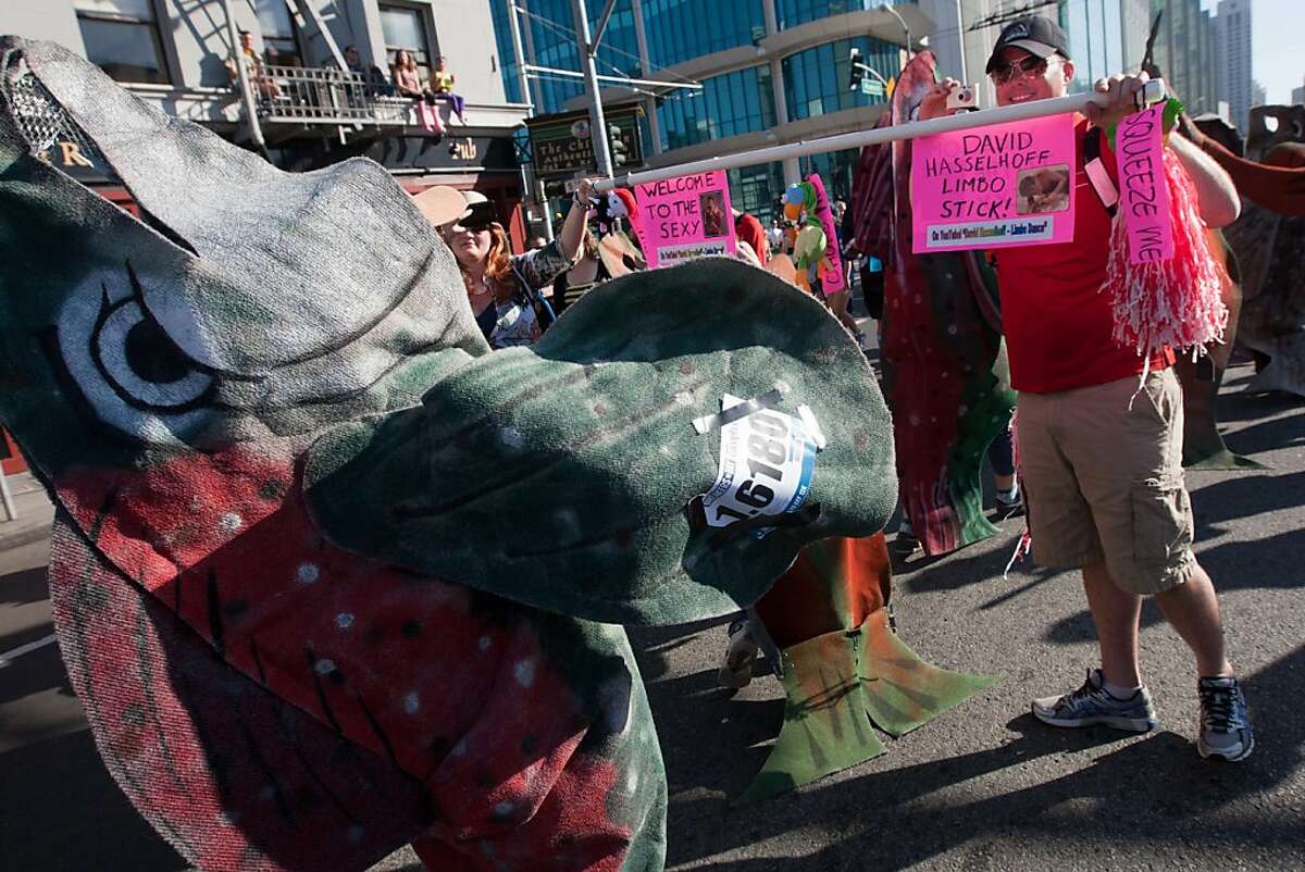 The salmon run is SF's weirdest Bay to Breakers tradition