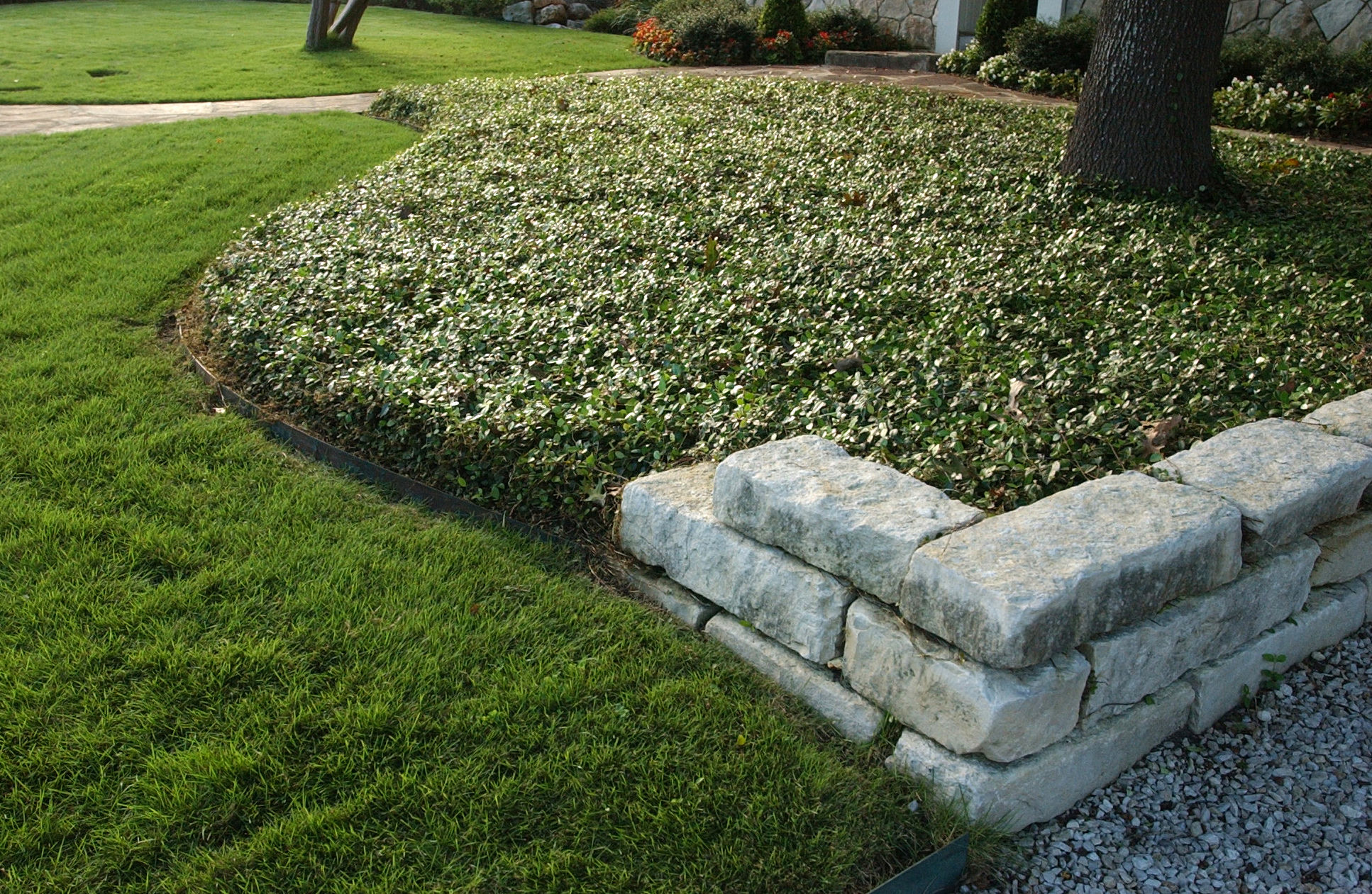 Low-maintenance, drought-friendly landscapes call for groundcovers