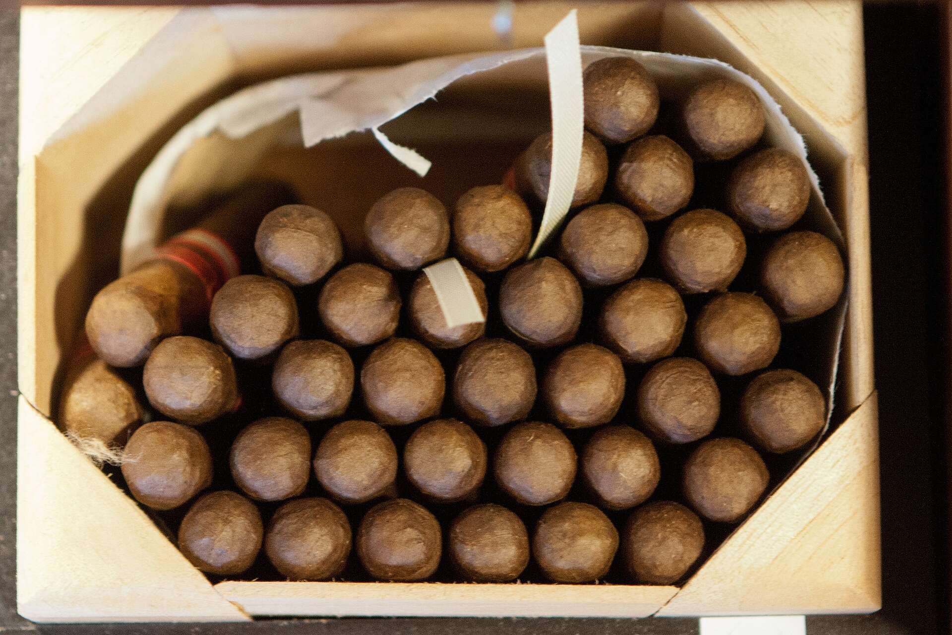 Cigar shops say puffing not passé