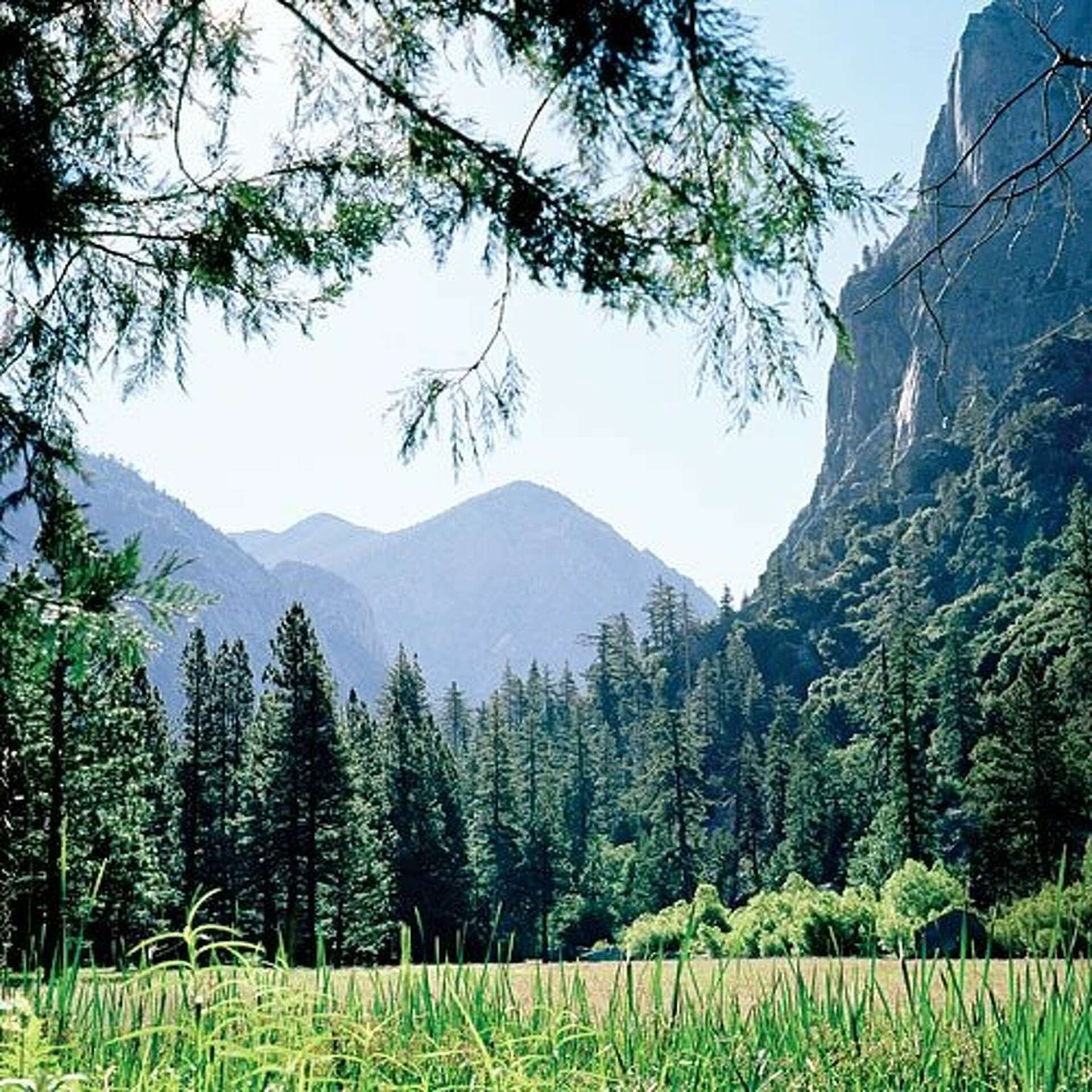 Wonders of the Sierra Nevada