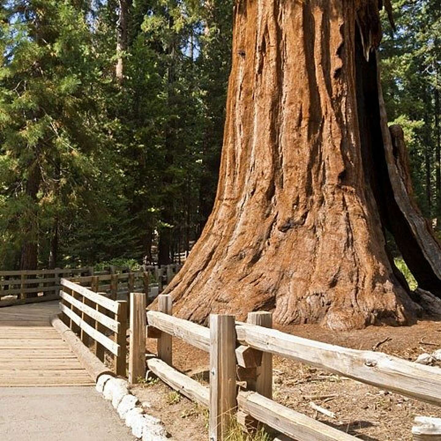 Wonders of the Sierra Nevada