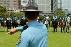 New faces on HPD's Mounted Patrol