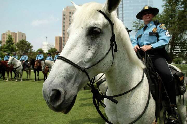 New faces on HPD's Mounted Patrol