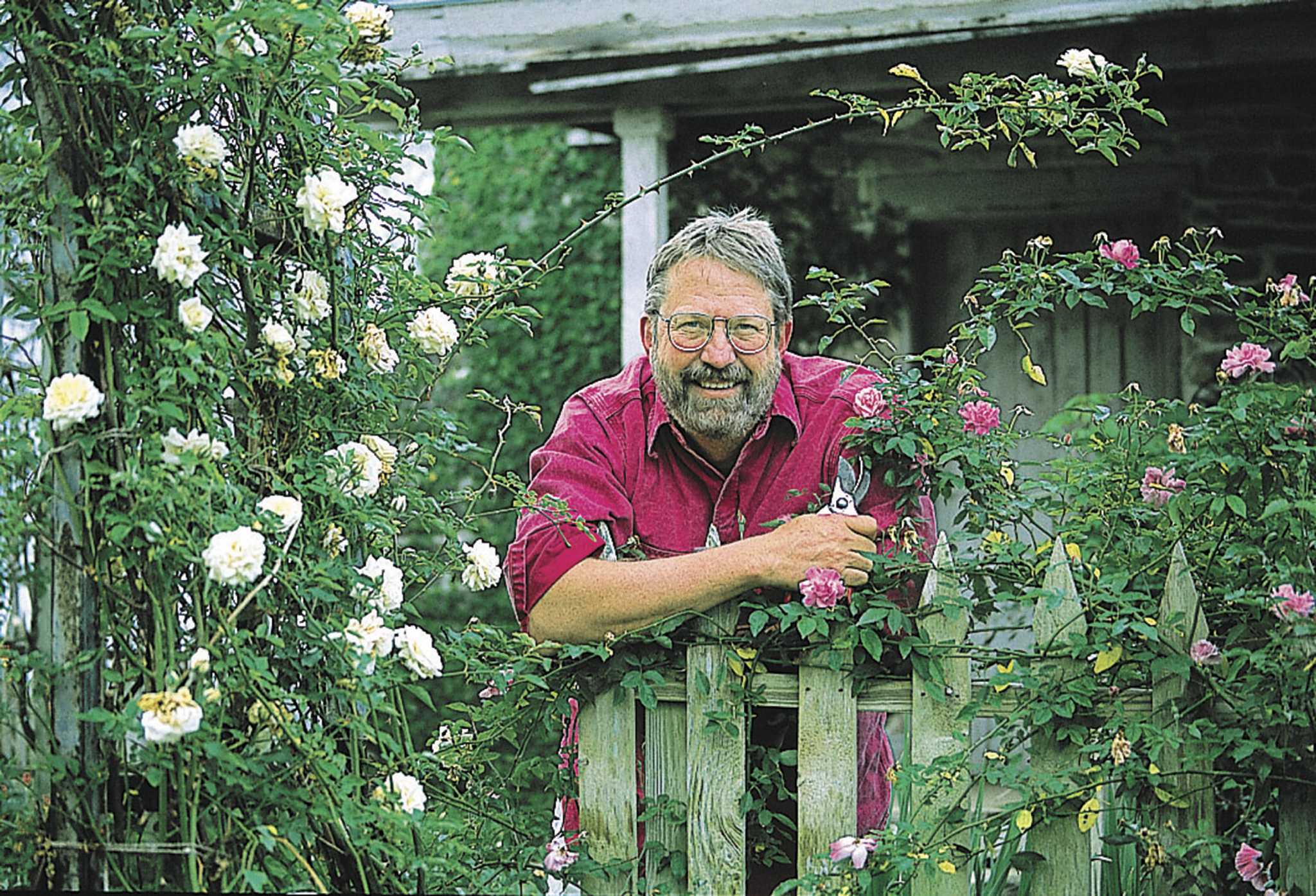 Roses bloom with personality