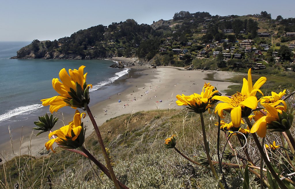 Muir Beach closing for restoration